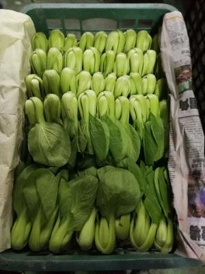 加工系統產銷履歷平台